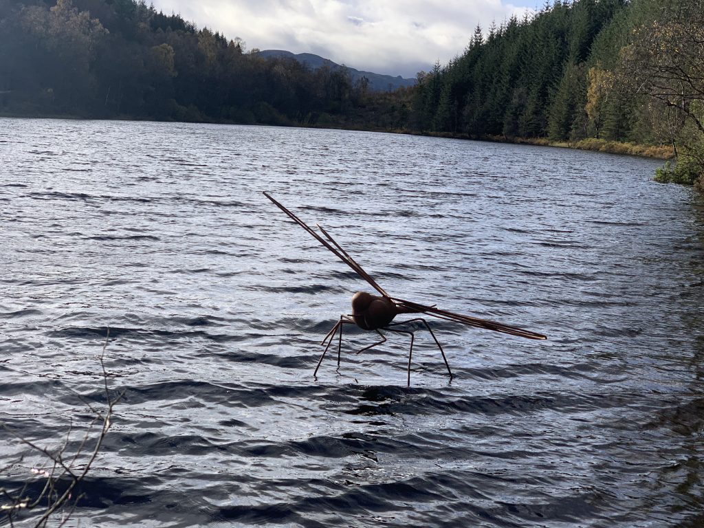 A lovely local walk round Lochan Spling - Dreamcatcher Cabins