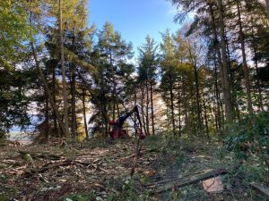 Such dreadful destruction .. - Dreamcatcher Cabins